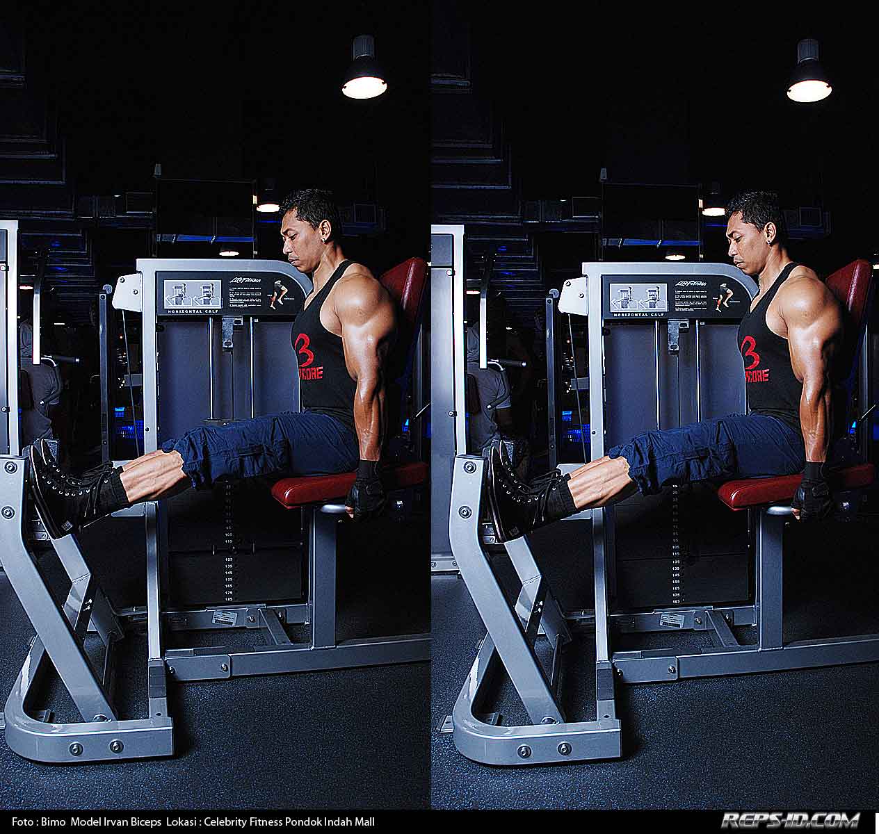 seated-calf-raises - Reps Indonesia - Fitness & Healthy Lifestyle